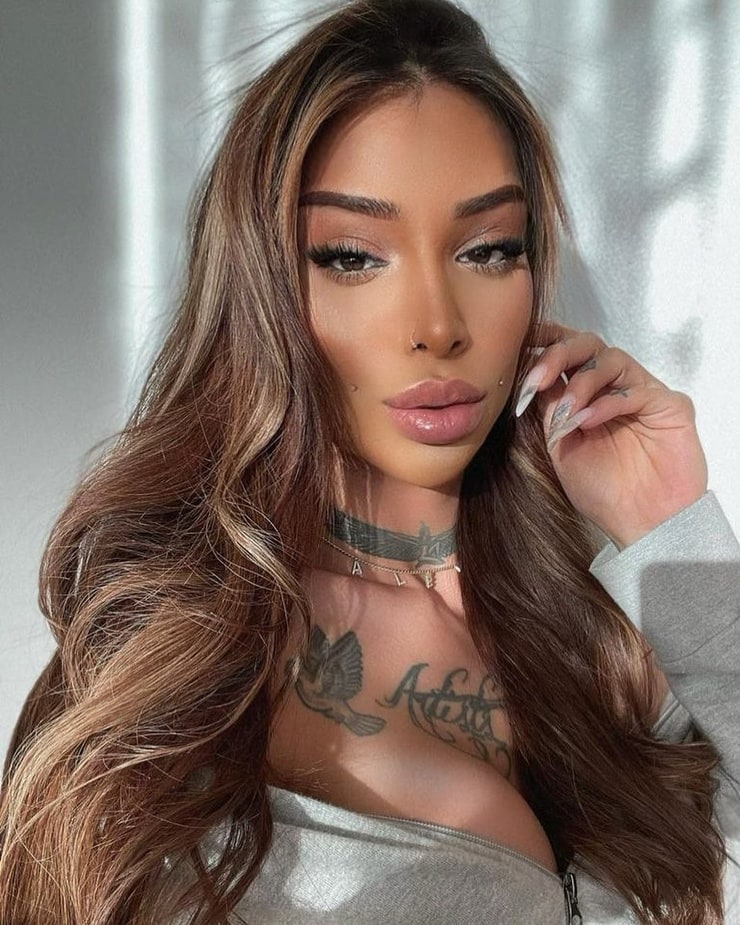 Picture of Alev Rules