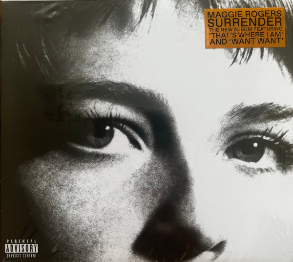 Surrender (2022) image