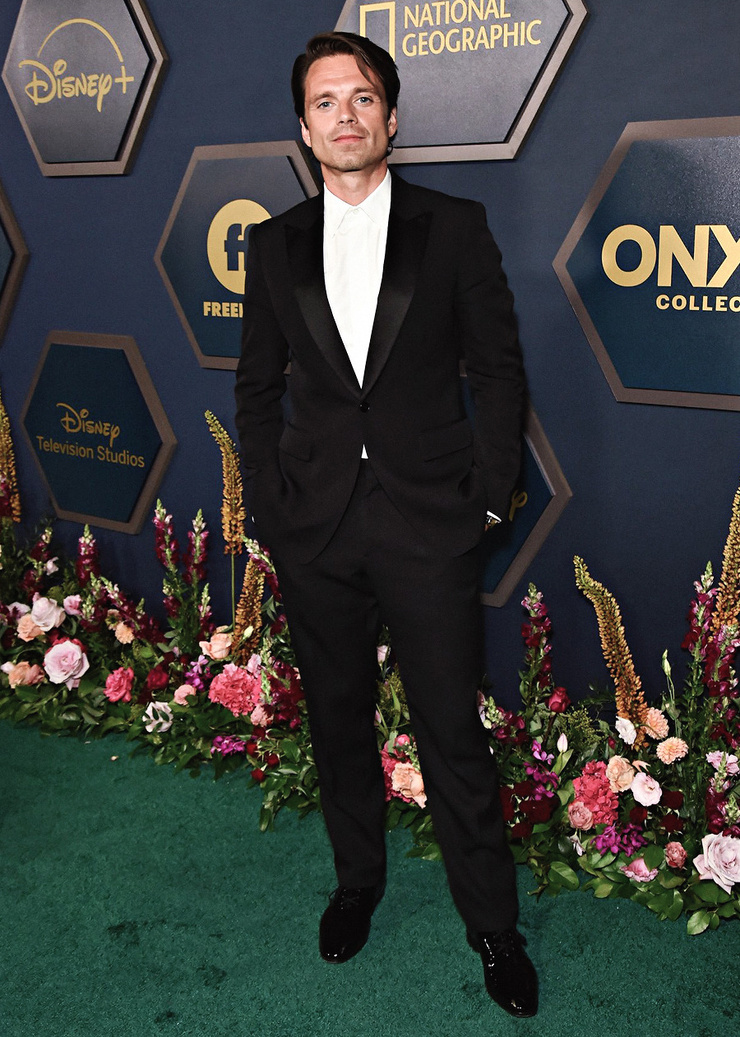 Sebastian Stan image