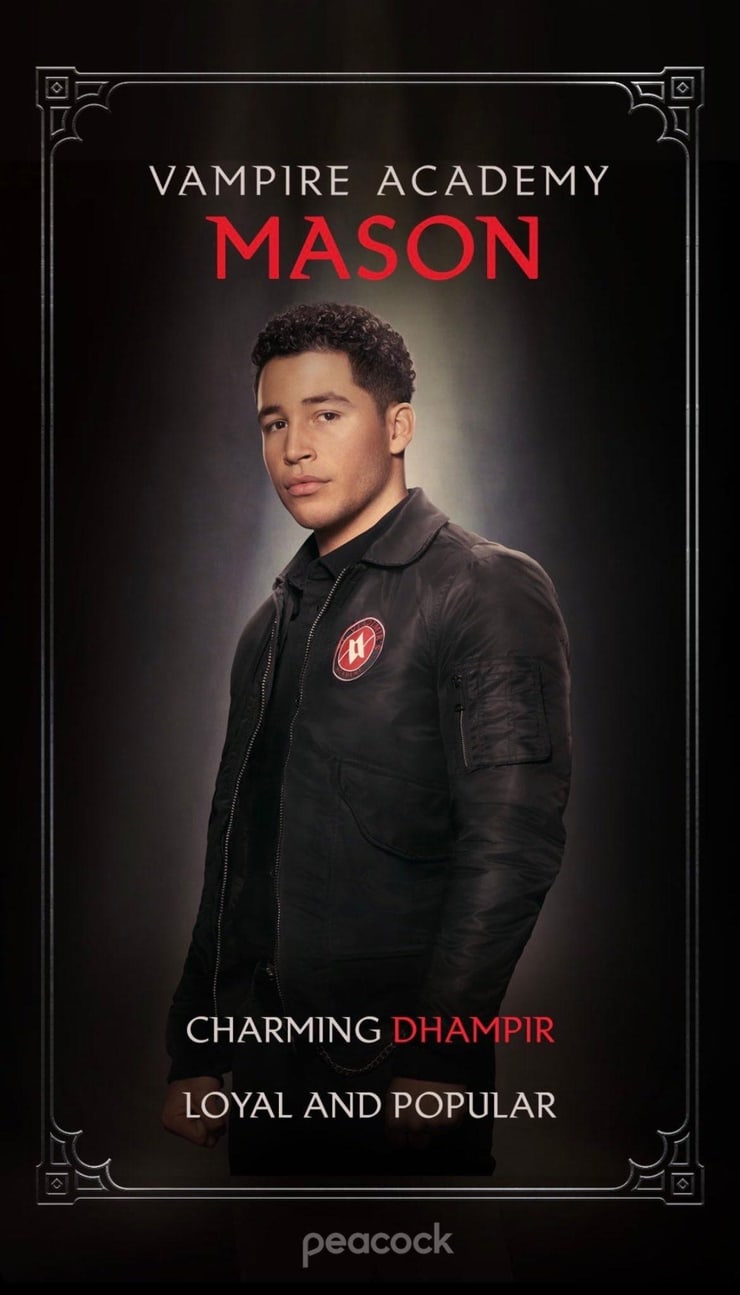 Image of Vampire Academy