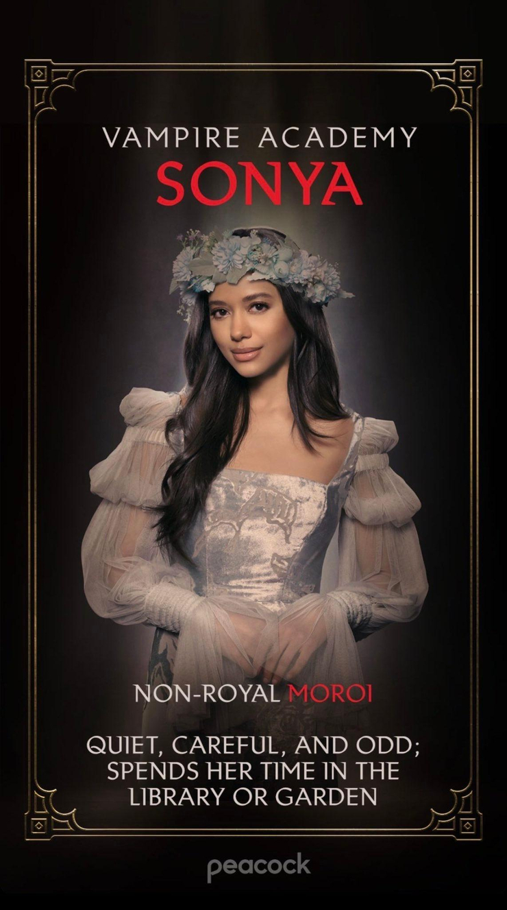 Picture of Vampire Academy