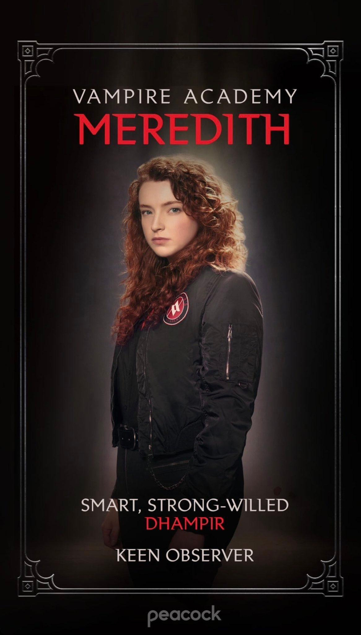 Picture of Vampire Academy