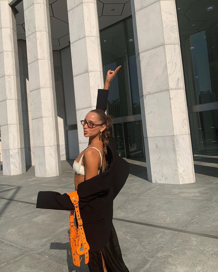 Neta Alchamister image