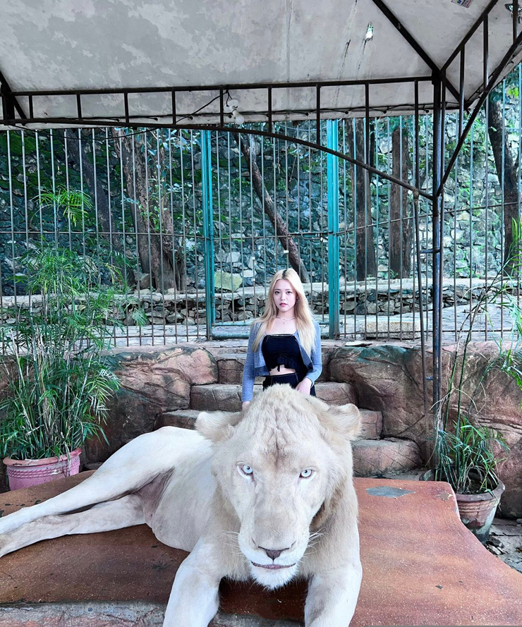 Picture of Nancy Yang