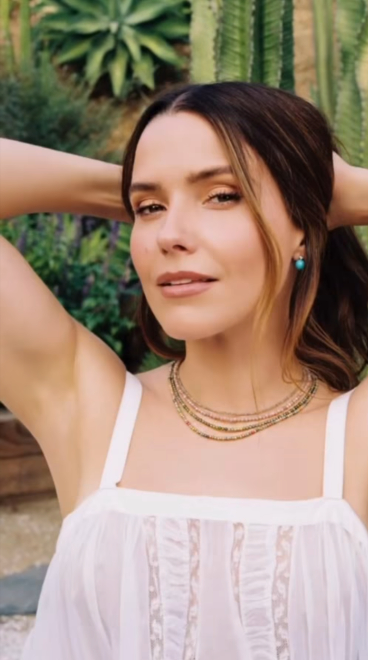 Picture of Sophia Bush