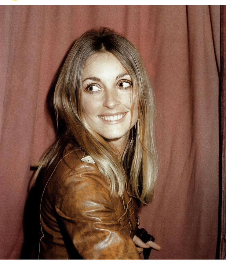 Picture of Sharon Tate