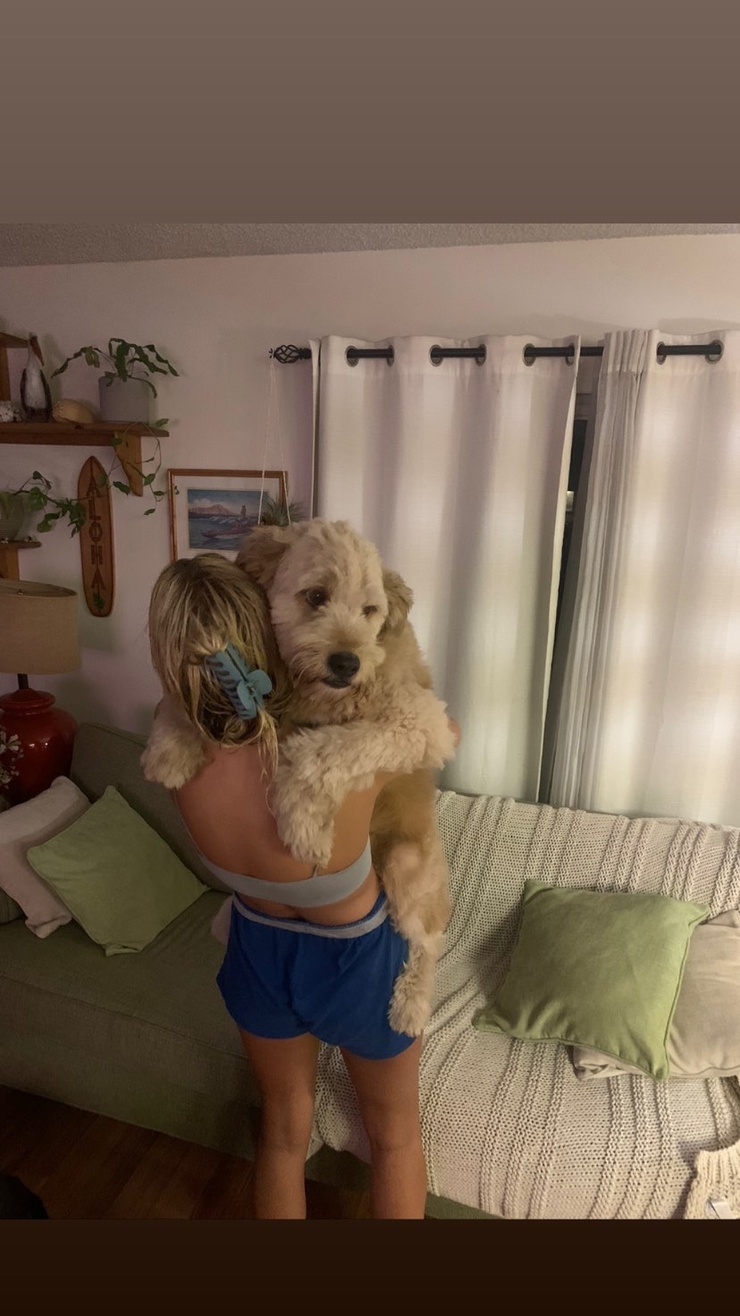 Picture of Rochelle Roche