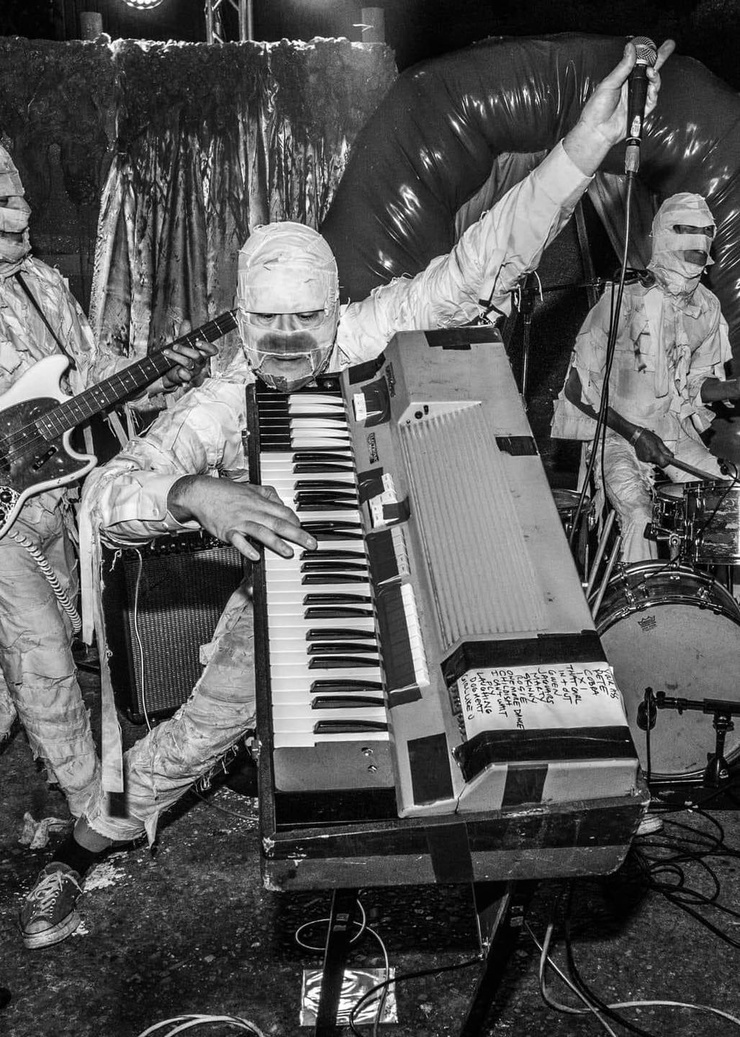 Picture of The Mummies