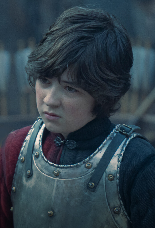 Picture of Jacaerys Velaryon