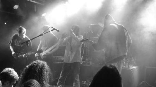 Picture of Lifelover