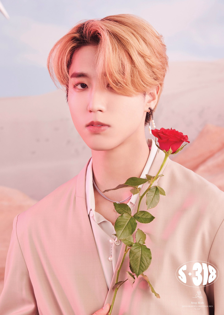 Picture of Stray Kids