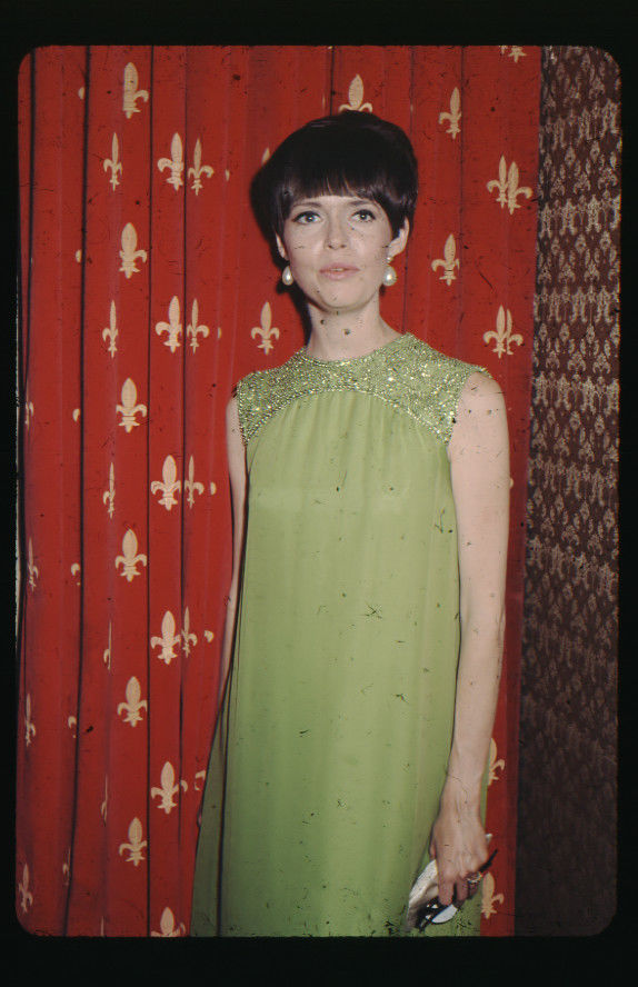 Picture of Barbara Feldon