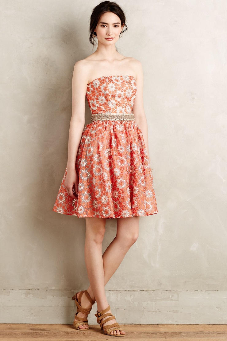 Mackenzie Hamilton image