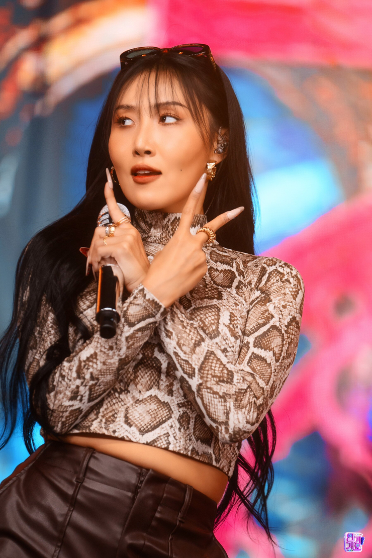 Picture of Hwasa