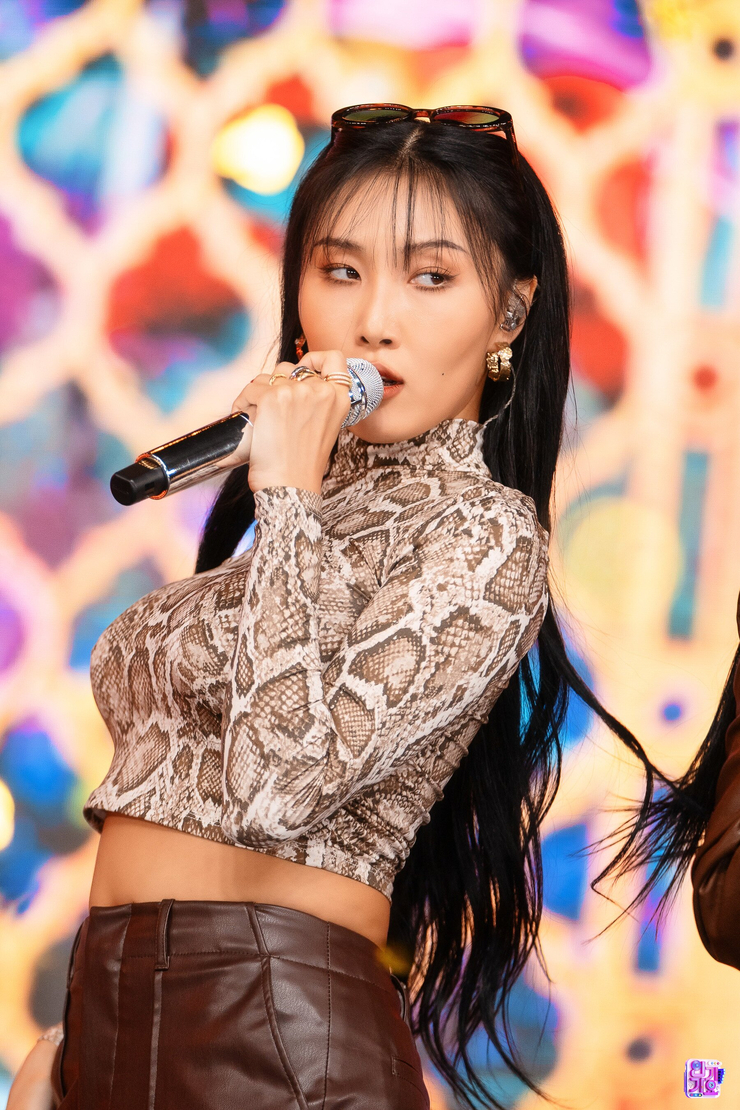 Picture of Hwasa