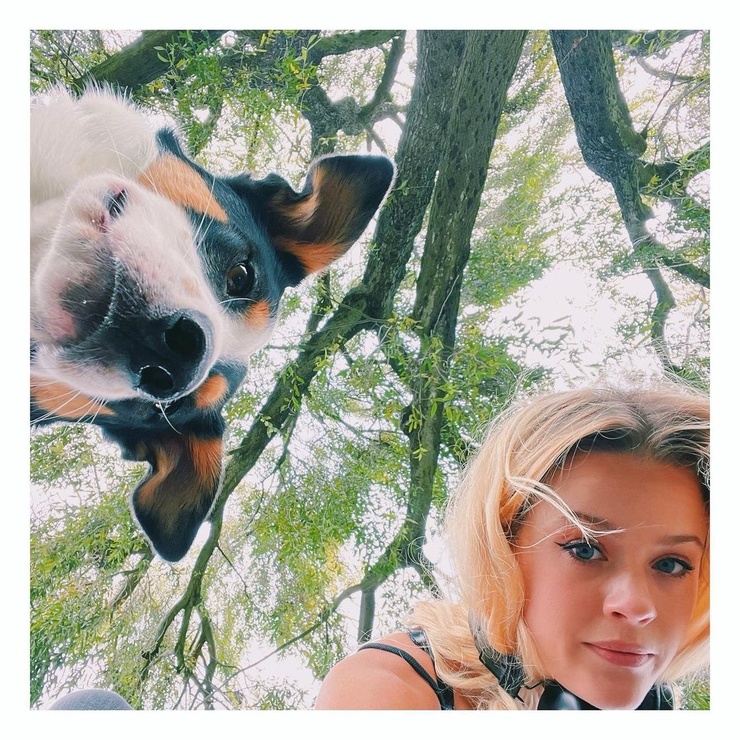 Picture of Ava Philippe