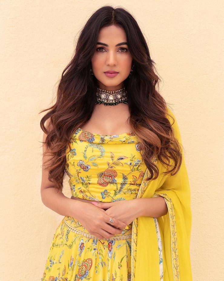 Picture of Sonal Chauhan