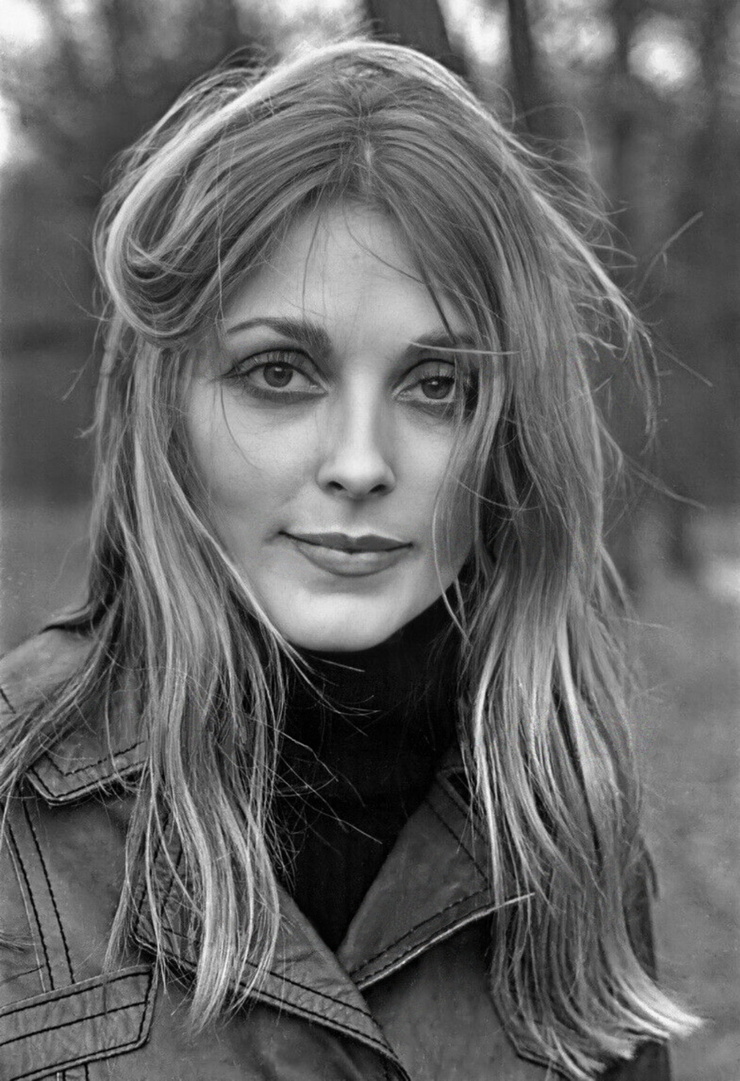 Picture of Sharon Tate