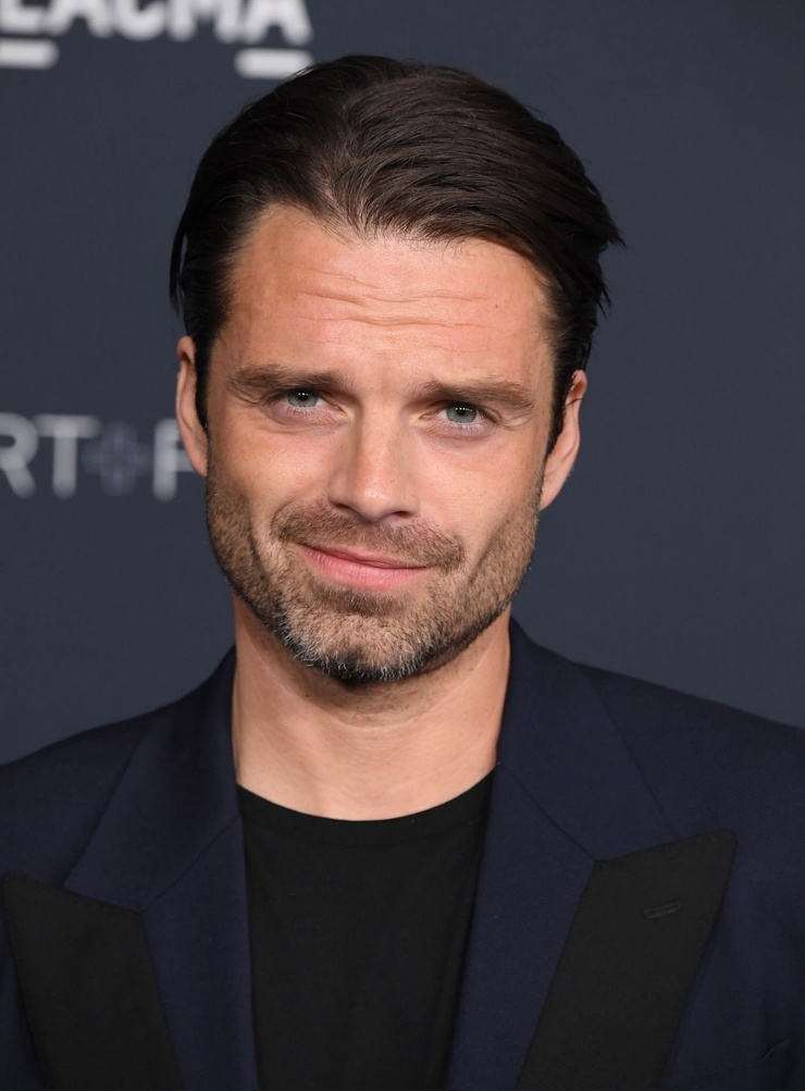 Sebastian Stan picture