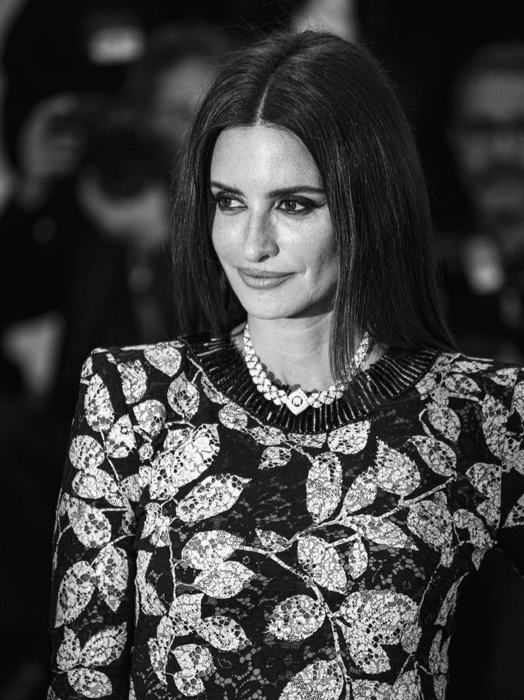 Picture of Penélope Cruz