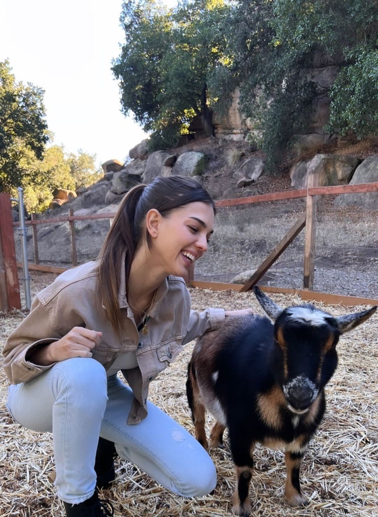 Picture of Colleen Cole