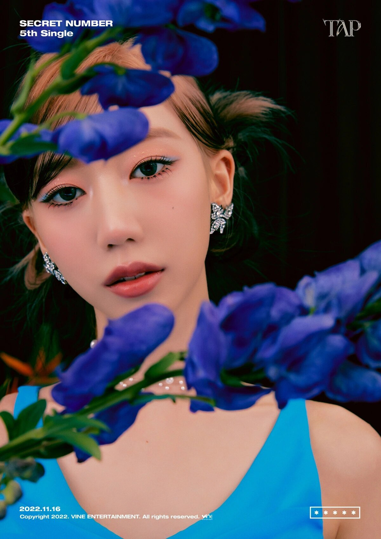 Image of SECRET NUMBER