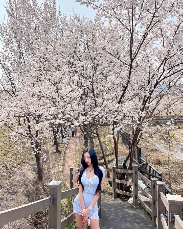 Picture of BJ Donggeuran