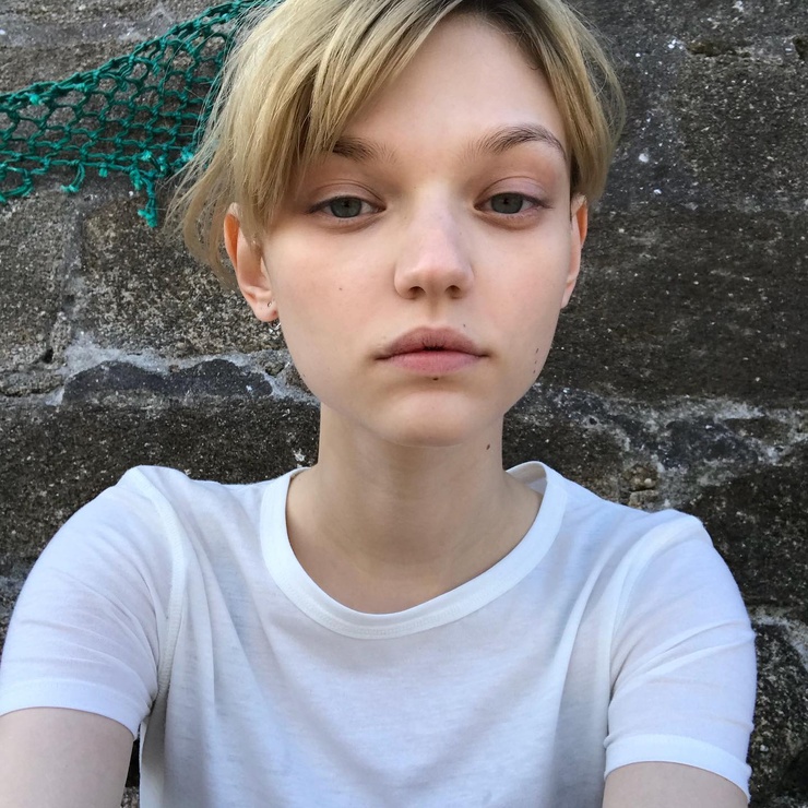 Pasha Harulia picture