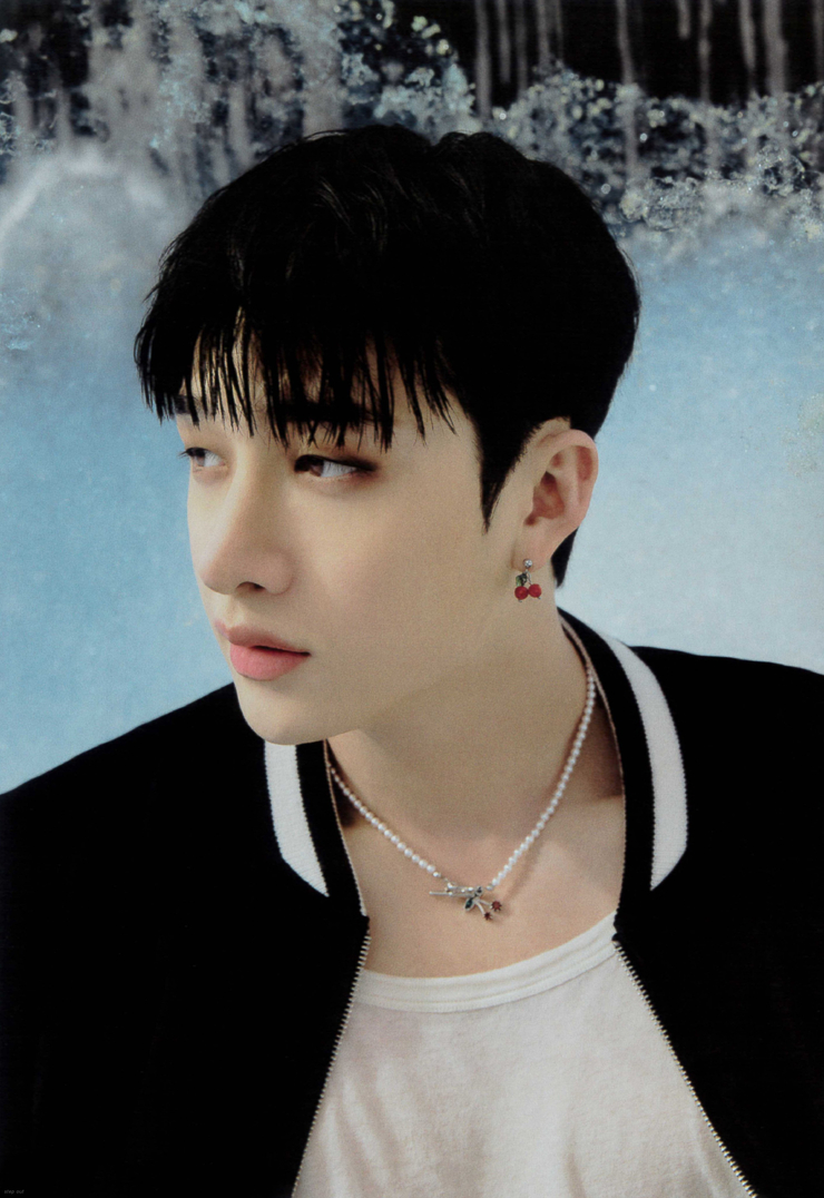 Picture of Bang Chan