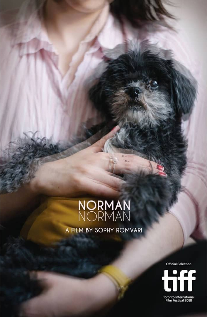 Norman Norman image