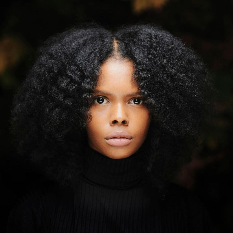 Picture of Minolta Araya