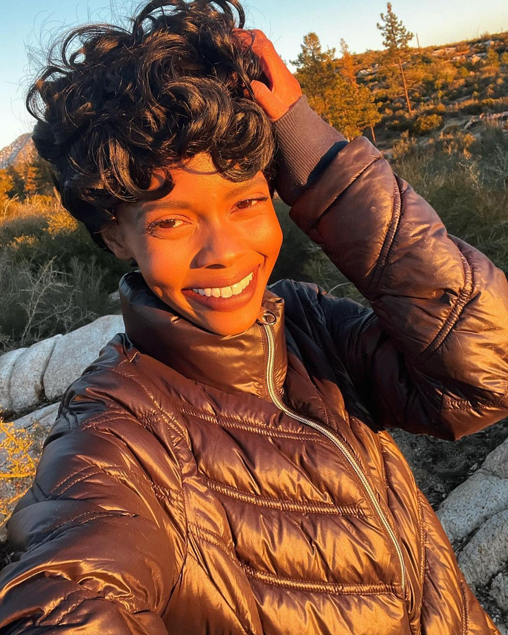 Picture of Minolta Araya