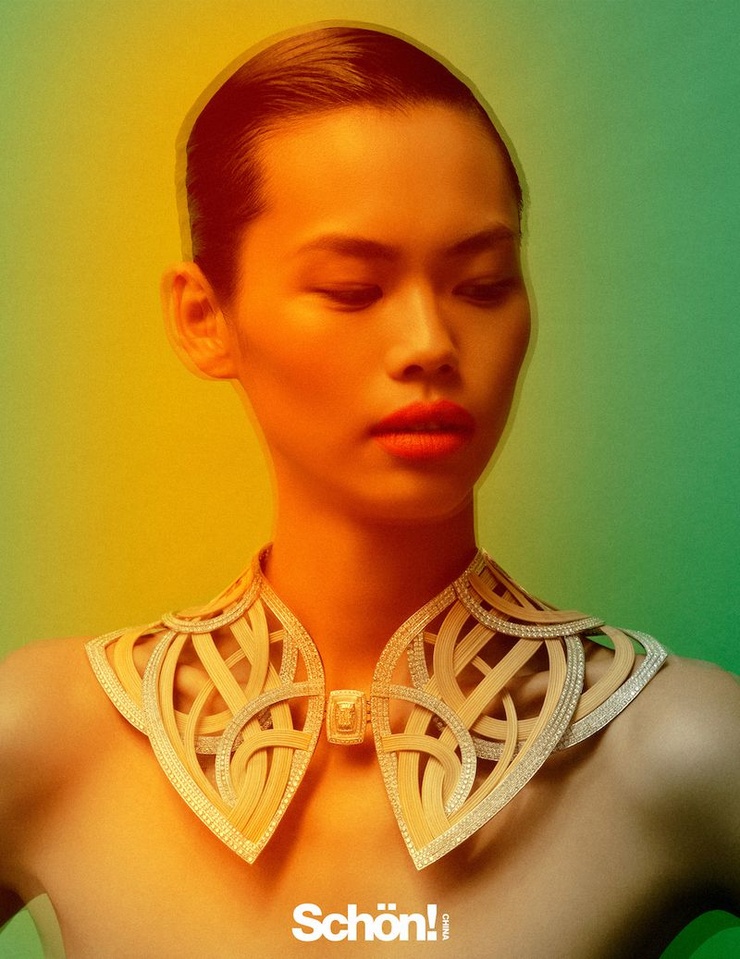 Picture of Xia Yuancen