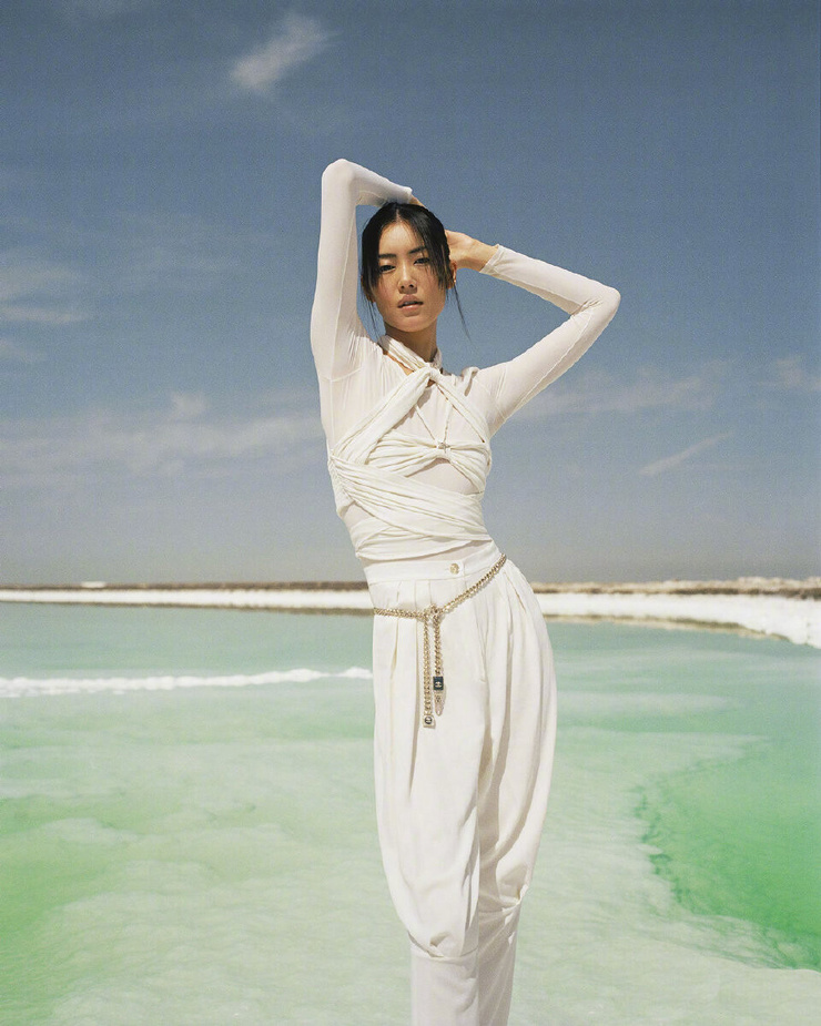 Picture of Liu Wen