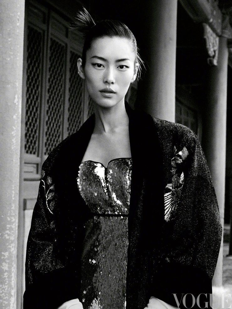 Picture of Liu Wen