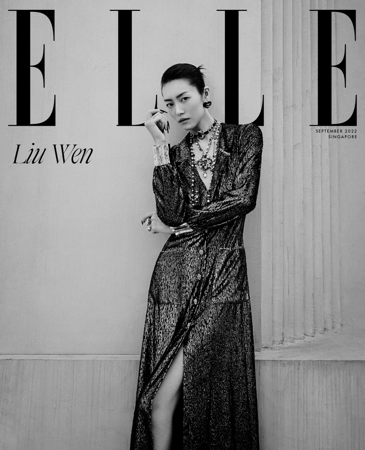 Picture of Liu Wen