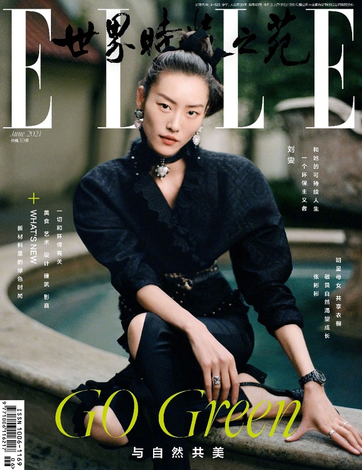 Liu Wen image