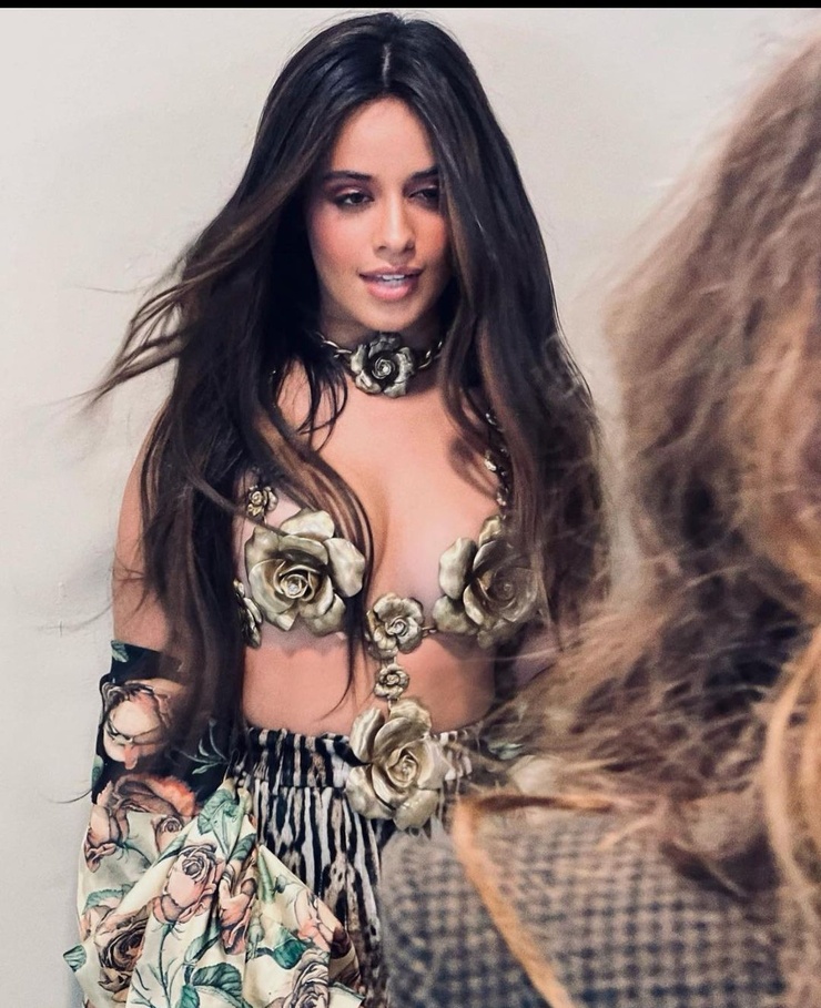 Picture of Camila Cabello