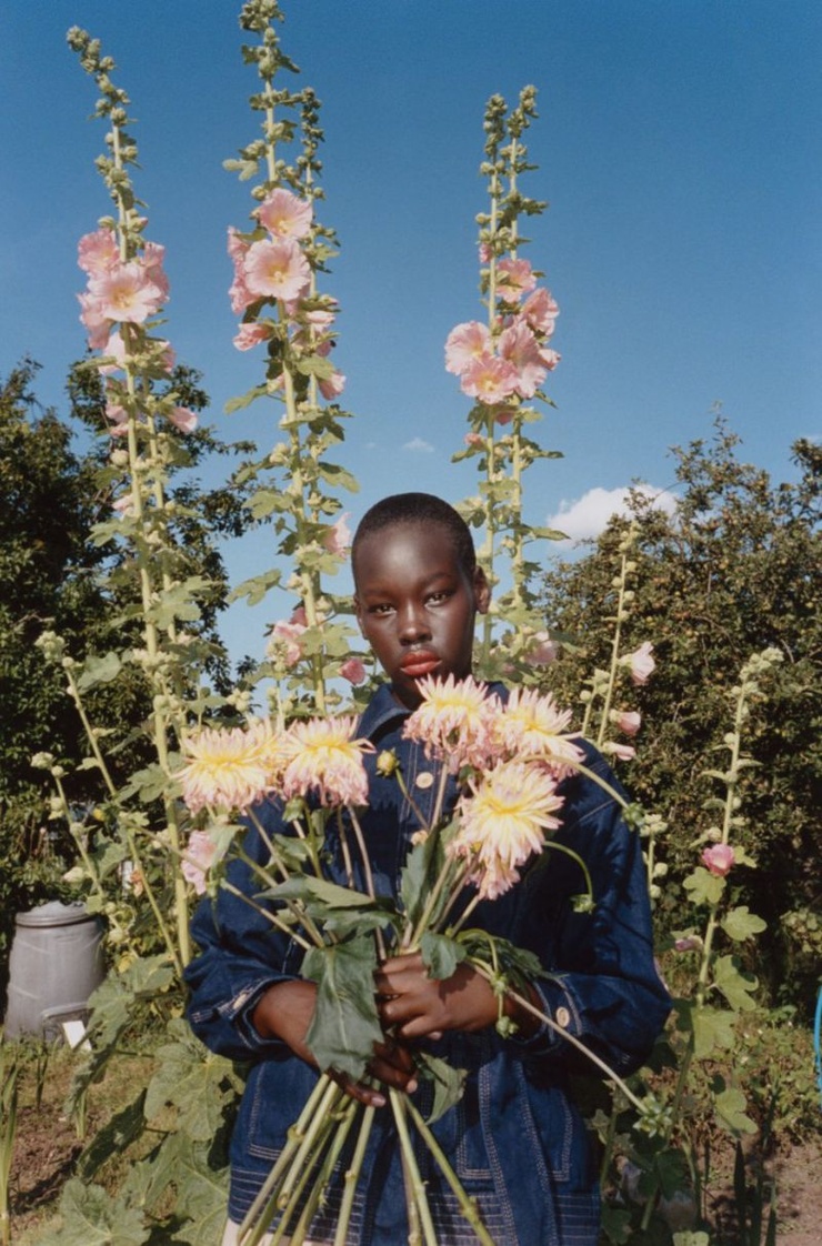 Picture of Ajok Daing