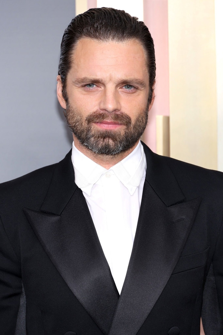 Sebastian Stan image