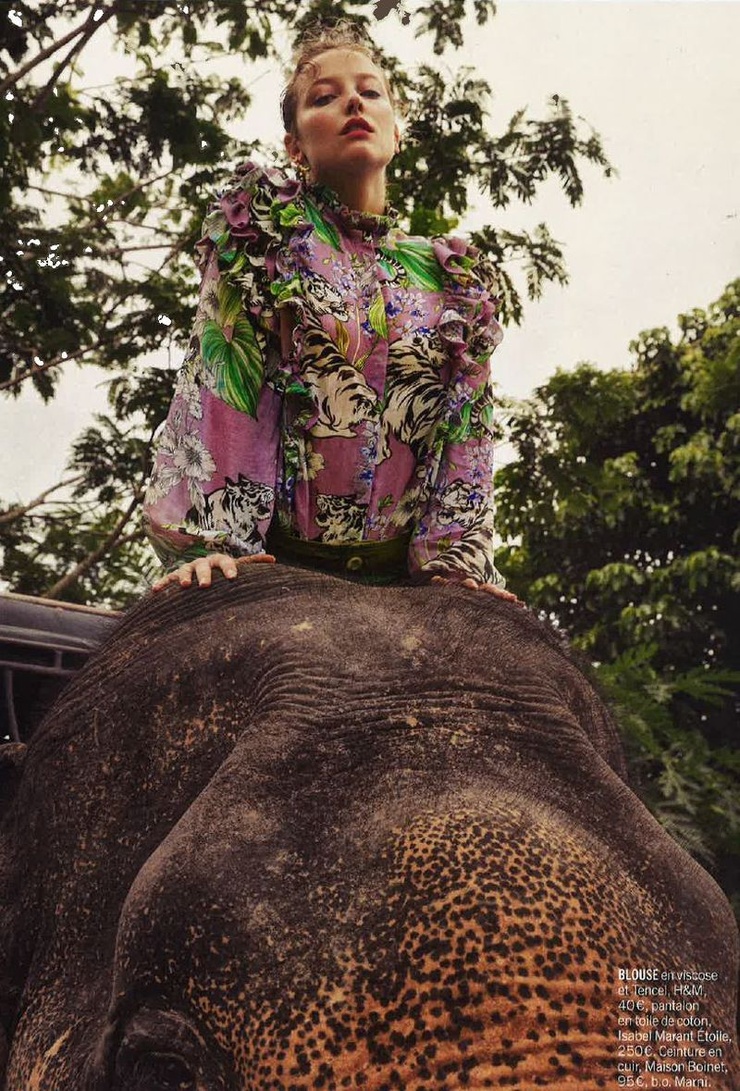 emily van raay image