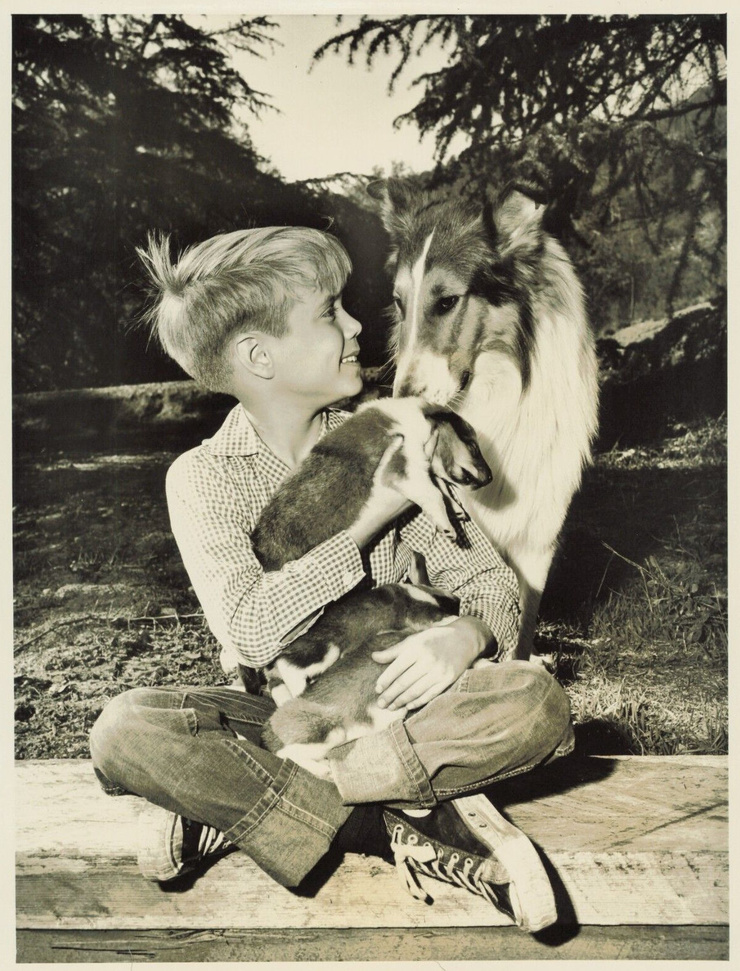 Jon Provost, Lassie