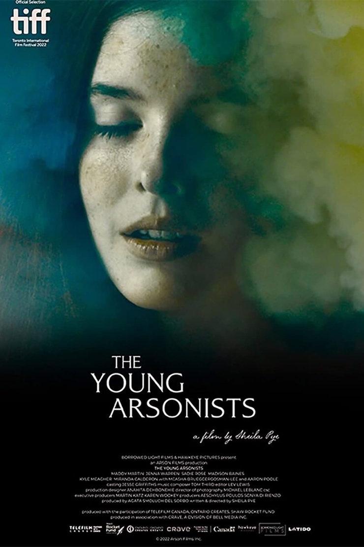 Picture of The Young Arsonists