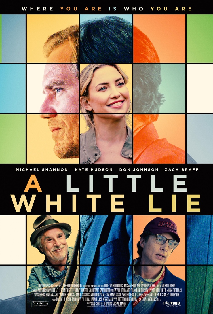 A Little White Lie image