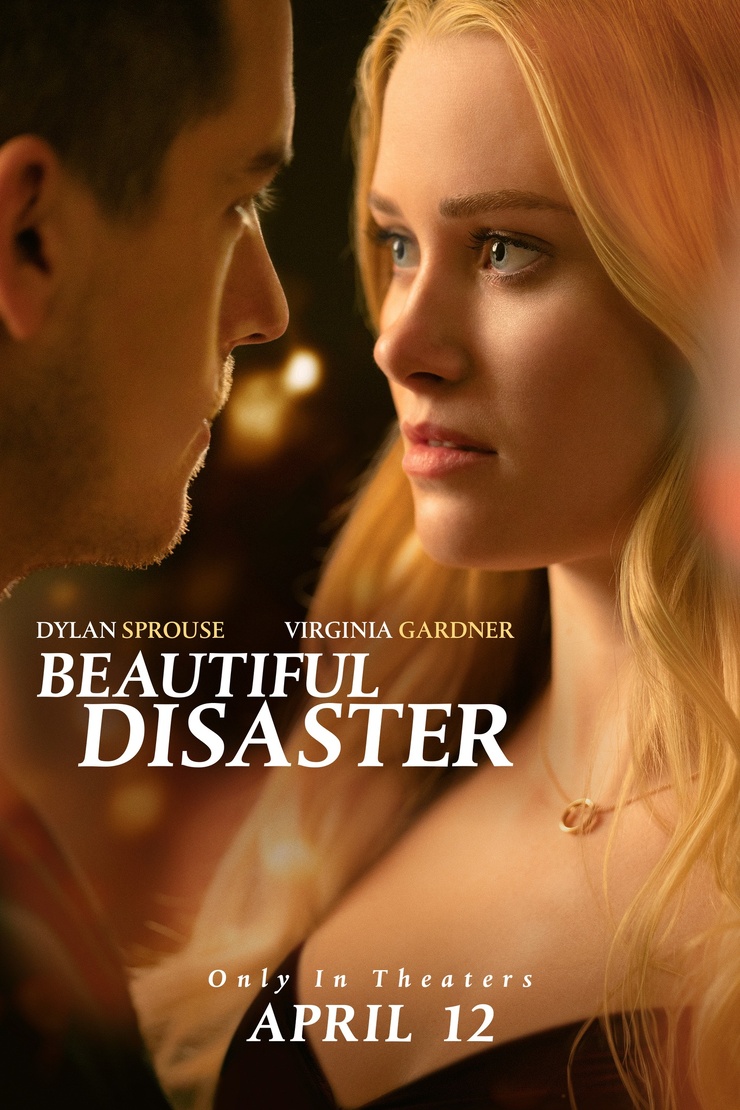 Picture of Beautiful Disaster