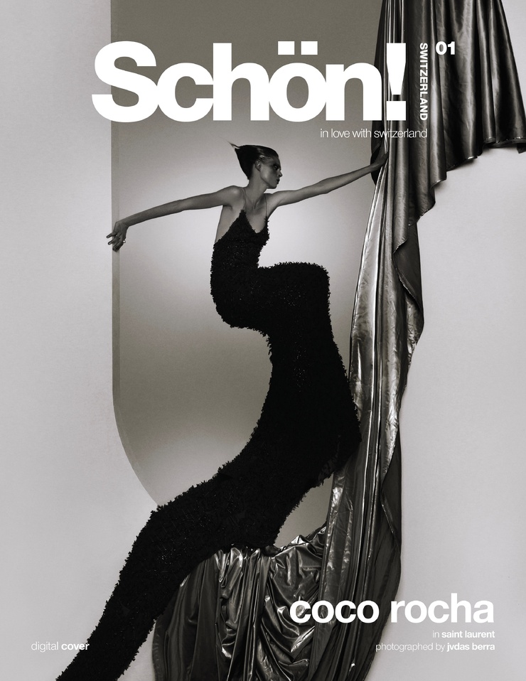 Picture of Coco Rocha