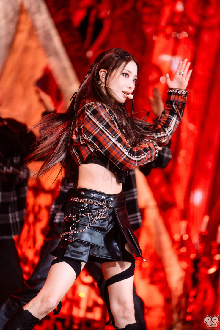 Picture of Boa