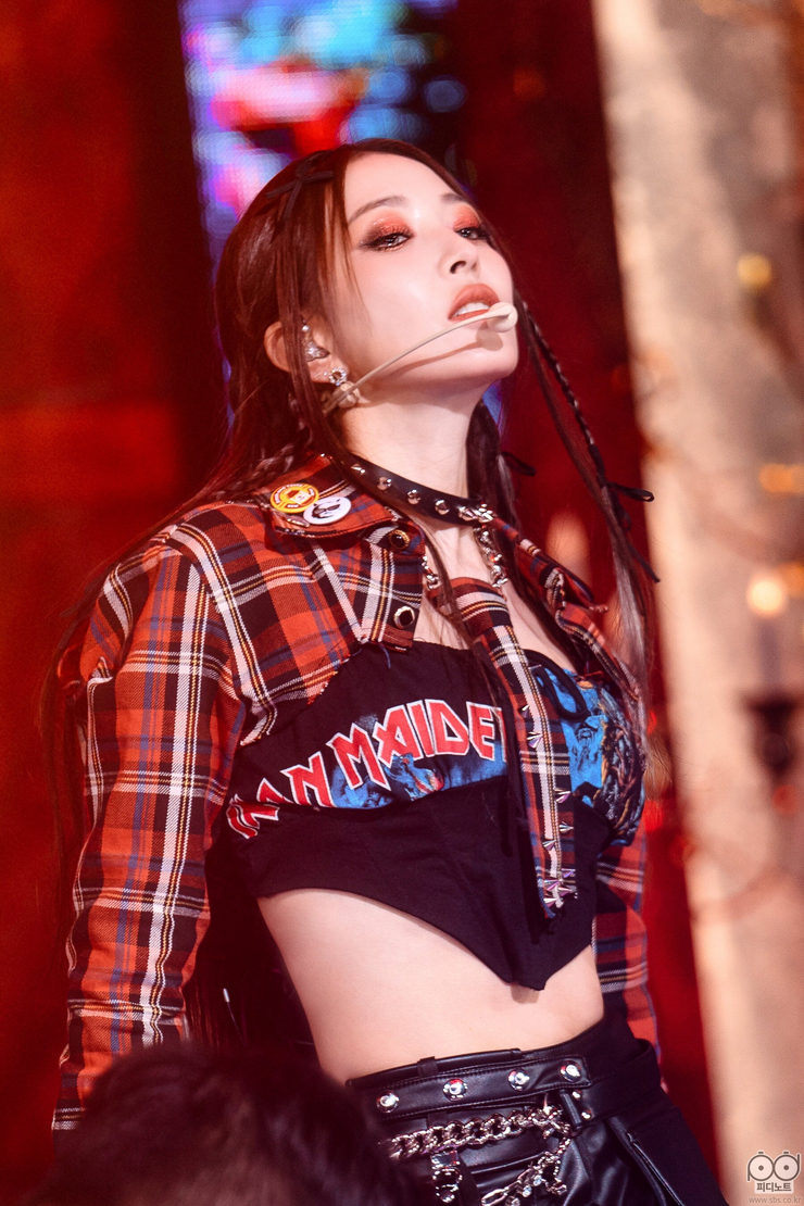Picture of Boa
