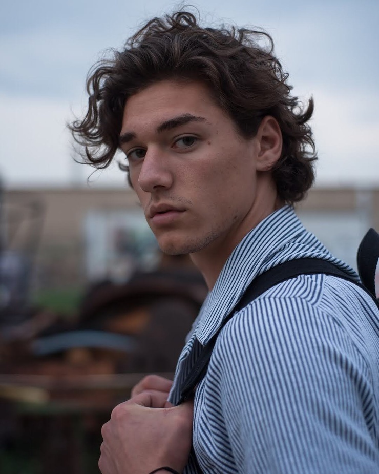 Belmont Cameli picture