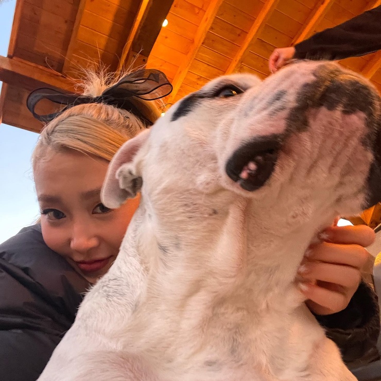 Picture of Heyoon Jeong